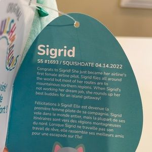 Squishmallows | Other | Nwt 5 Sigrid The Siamese Cat Squishmallow ...